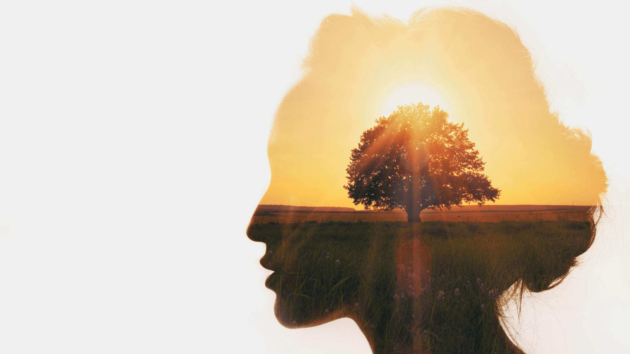 Setting Boundaries: Establishing Healthy Personal Limits - Agape Family ...