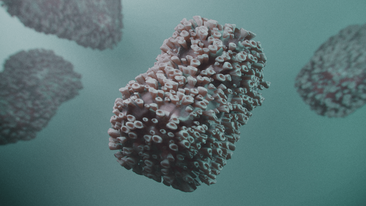 The History of Immunization: How Smallpox Changed the Game - Agape ...